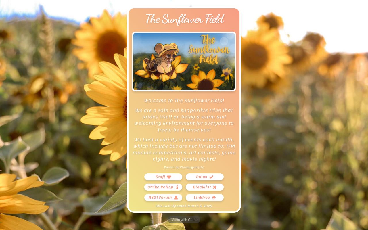 The Sunflower Field